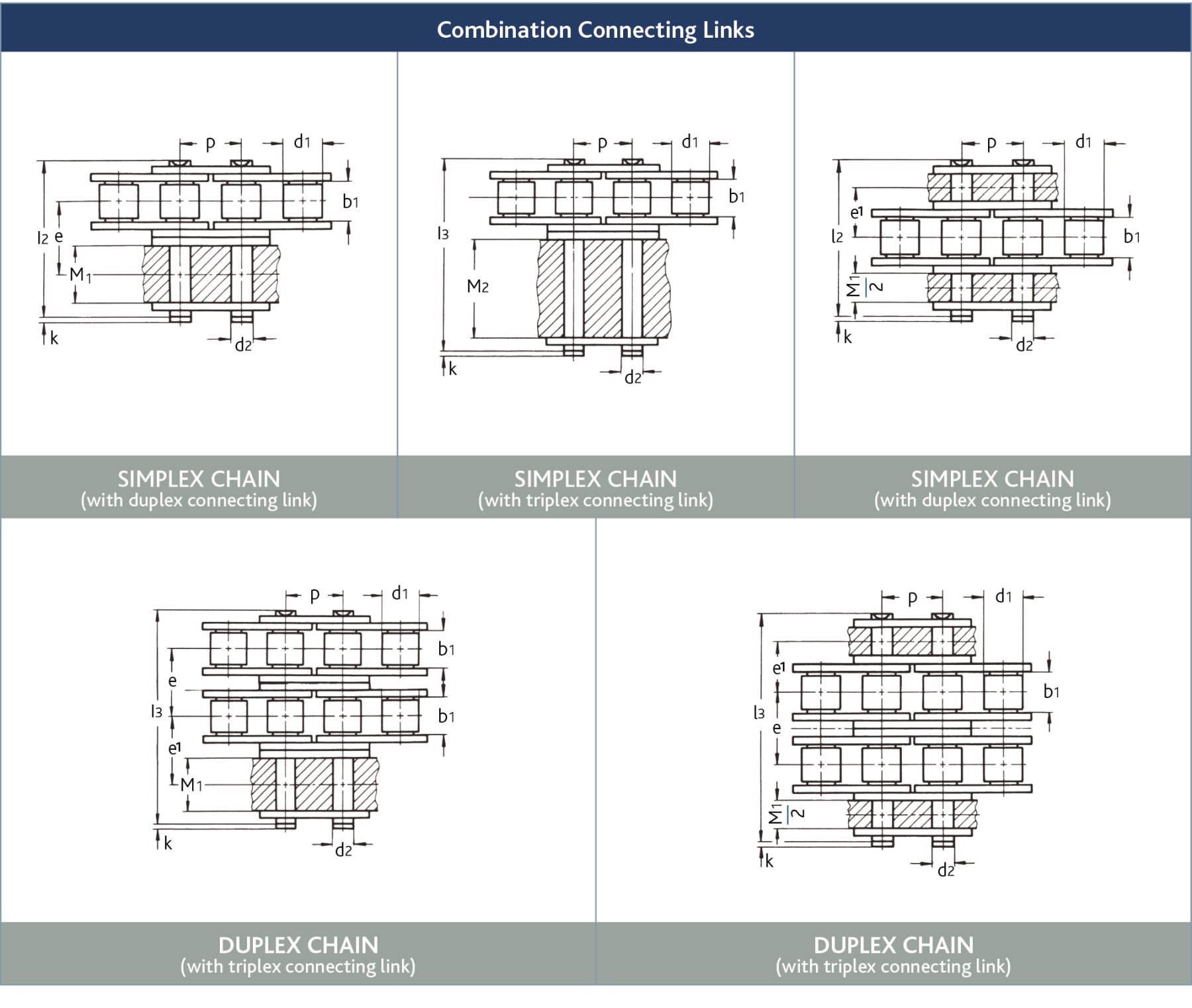 Roller Chains with Extended Pins on One Side/Both Sides | TransDev
